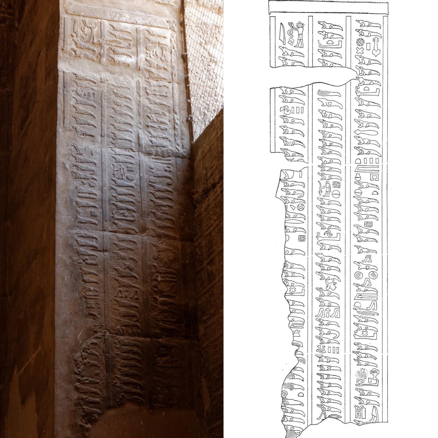 ワニだらけ。エジプト・エスナ神殿の「セベク神讃歌」はワニのヒエログリフで描かれていた: 現在位置を確認します。【移転後】